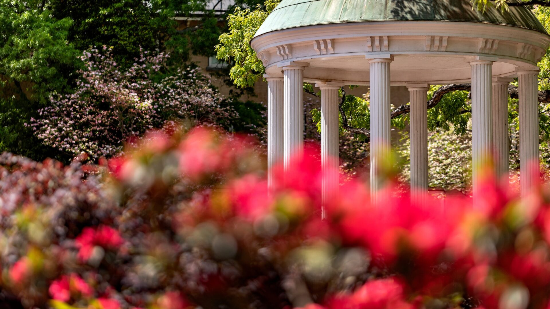 Message archive - UNC Student Affairs